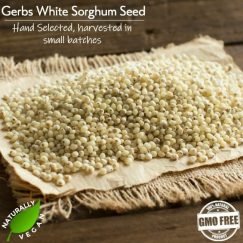 24 LB Case Pack of White Sorghum Grain - Allergy Friendly Foods - Gerbs