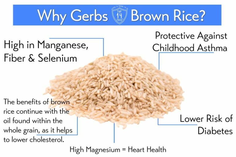 Rice - Allergy Friendly Foods - Gluten-Free - MyGerbs